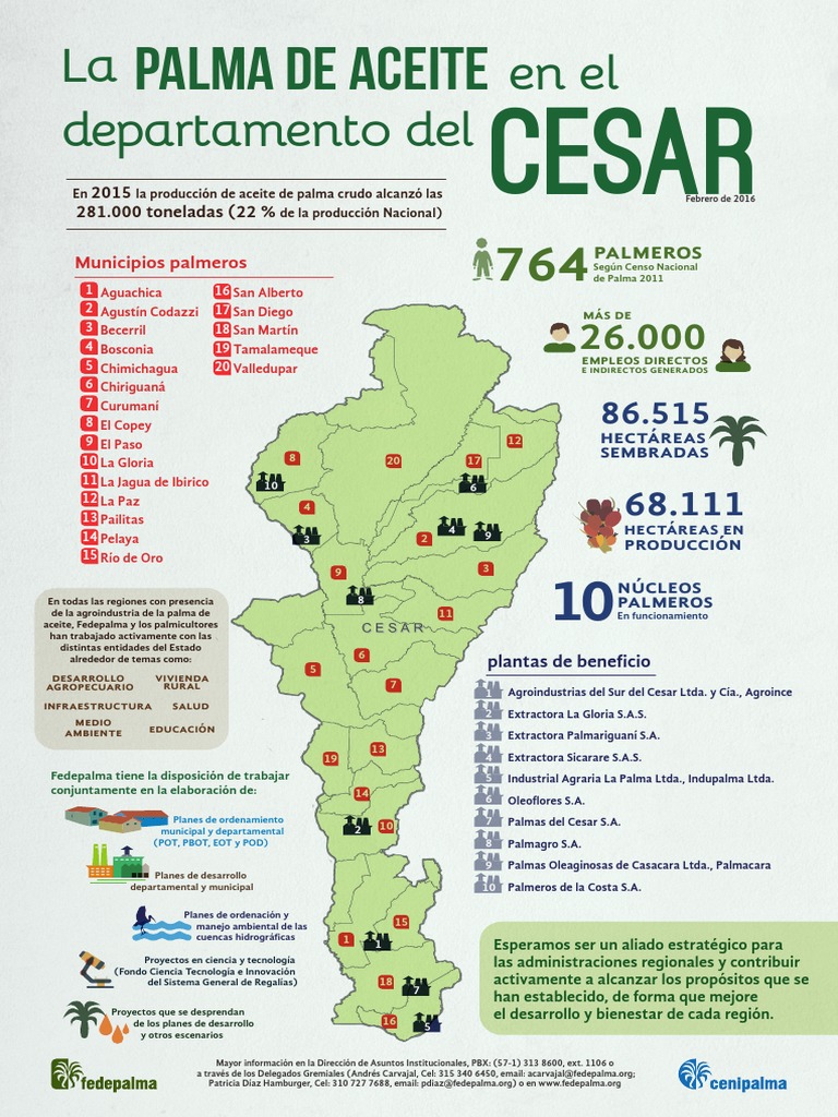 Aceite Cesar | PDF | Economias