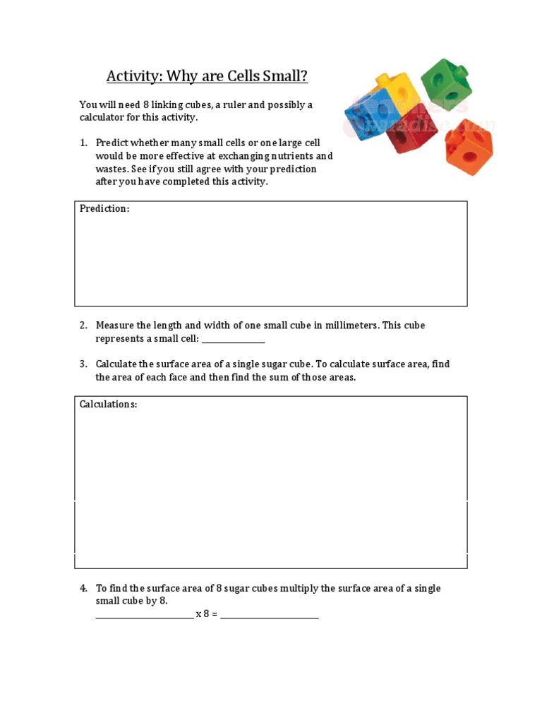 Why Are Cells Small | PDF