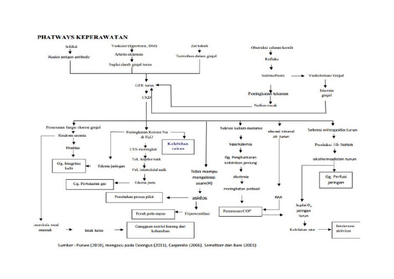Pathway CKD