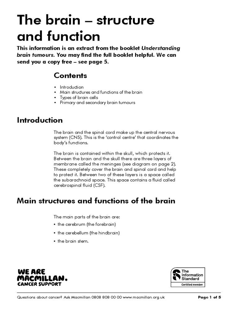 Thebrain StructureandfunctionMCS5pages | PDF | Cerebrum | Brain