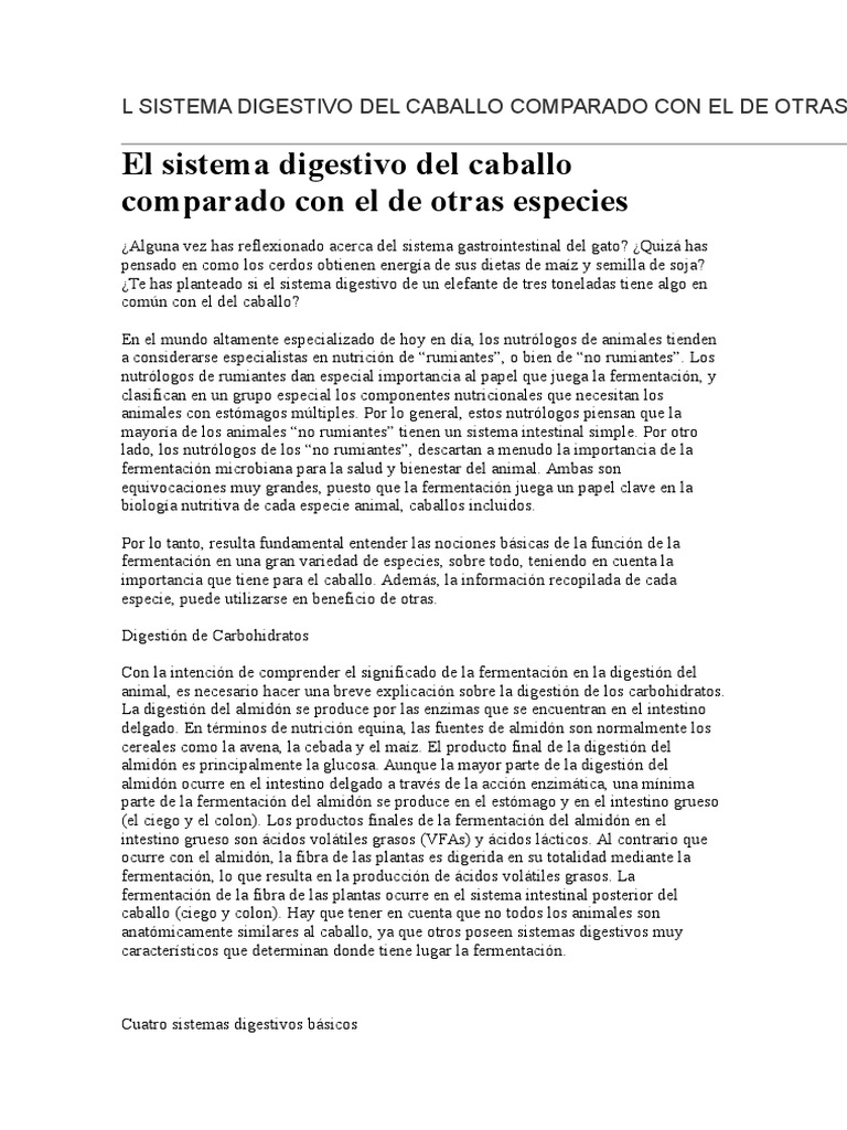 Digestión del caballo vs. rumiantes | PDF | Rumiante | Digestión