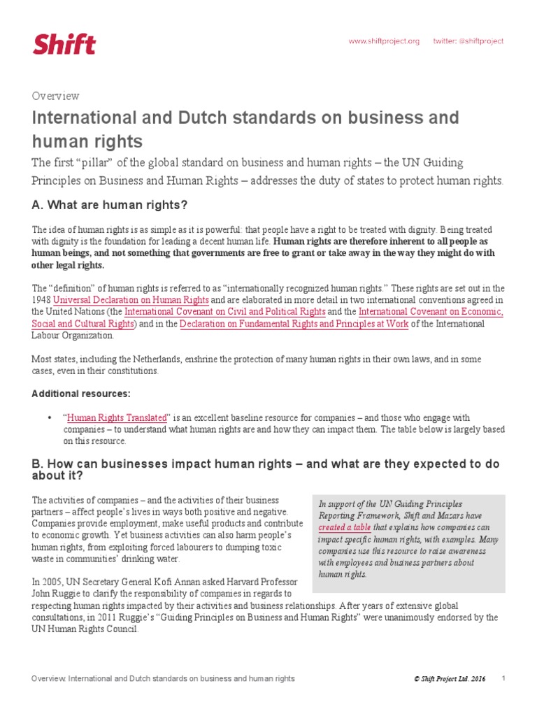 International and Dutch Standards On Business and Human Rights | PDF ...