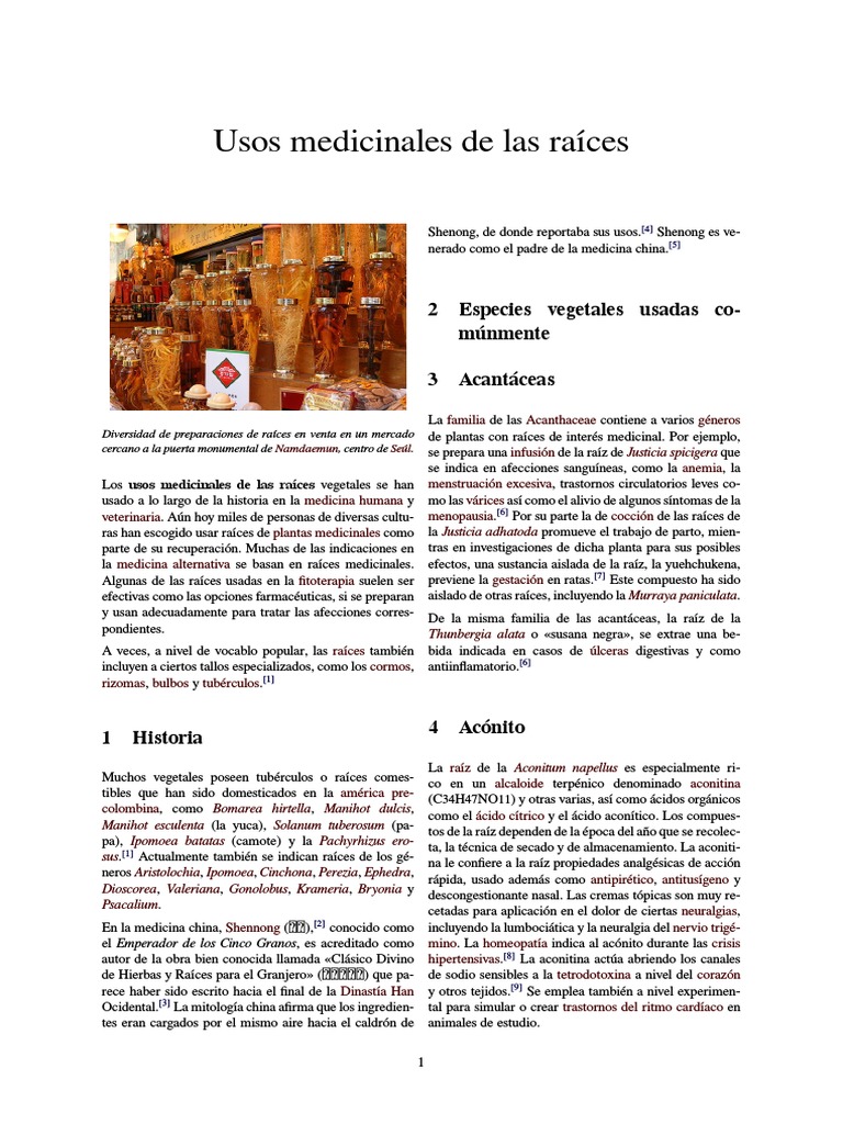 Raíces. Usos Medicinales. | PDF | Plantas medicinales | Jengibre