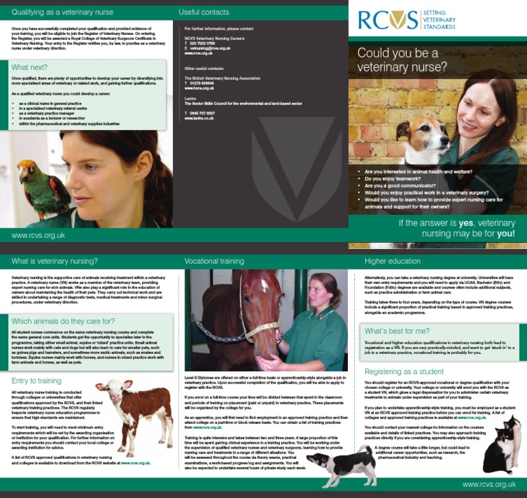 Becoming a Veterinary Nurse: Qualifications, Training and Career ...