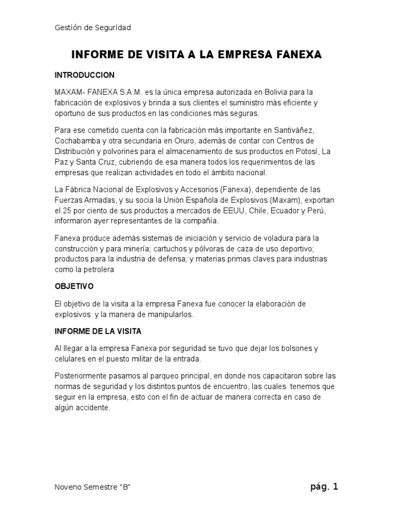 Informe de Visita A La Empresa Fanexa | PDF