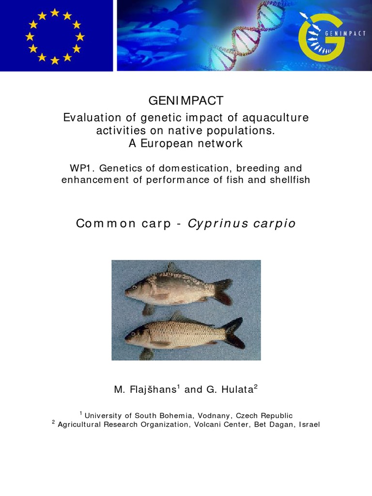 Carp Leaflet | PDF | Selective Breeding | Spawn (Biology)