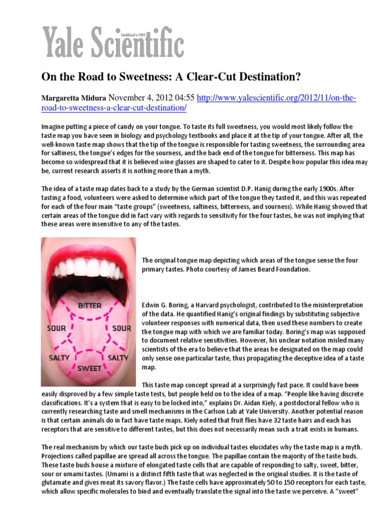 Tongue Taste Map Is Wrong Pdf Umami Taste