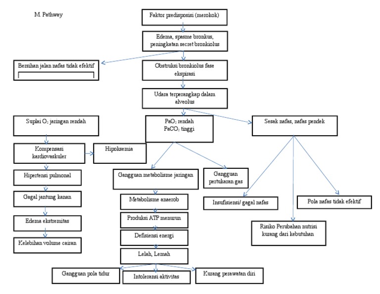 Pathway Ppok | PDF