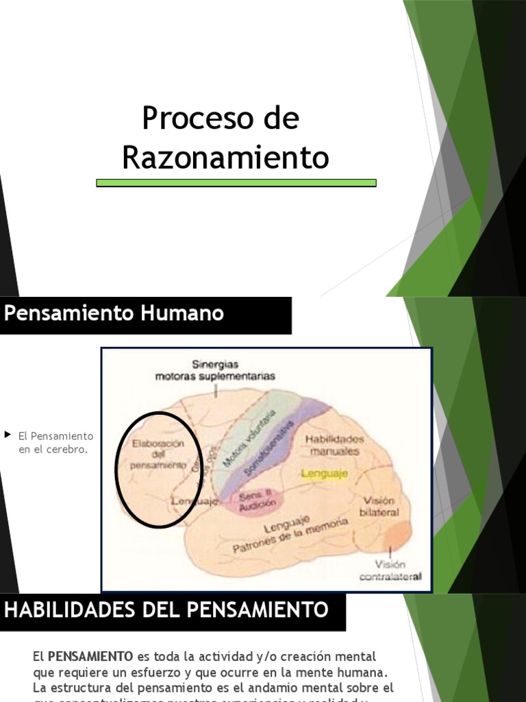 Procesos de Razonamiento | Razón | Concepto