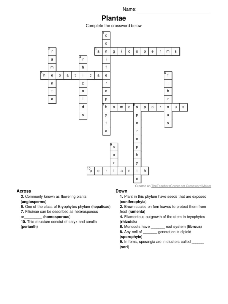 Plantae (Answers) | PDF