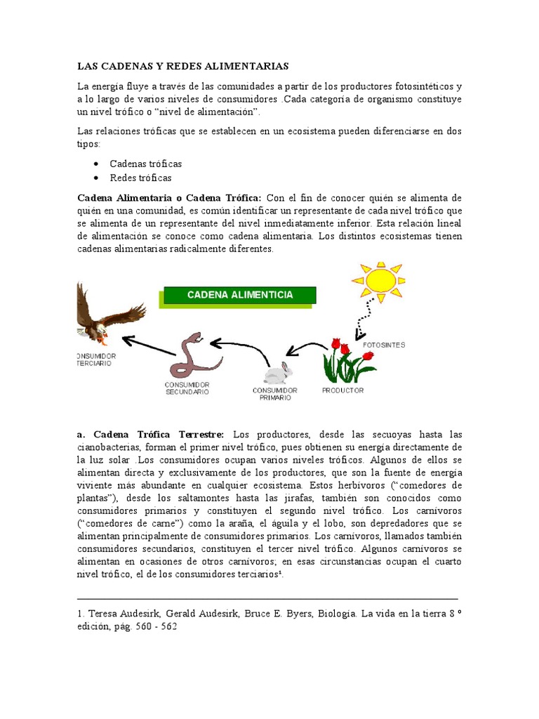 Las Cadenas y Redes Alimentarias | Descargar gratis PDF | Red ...