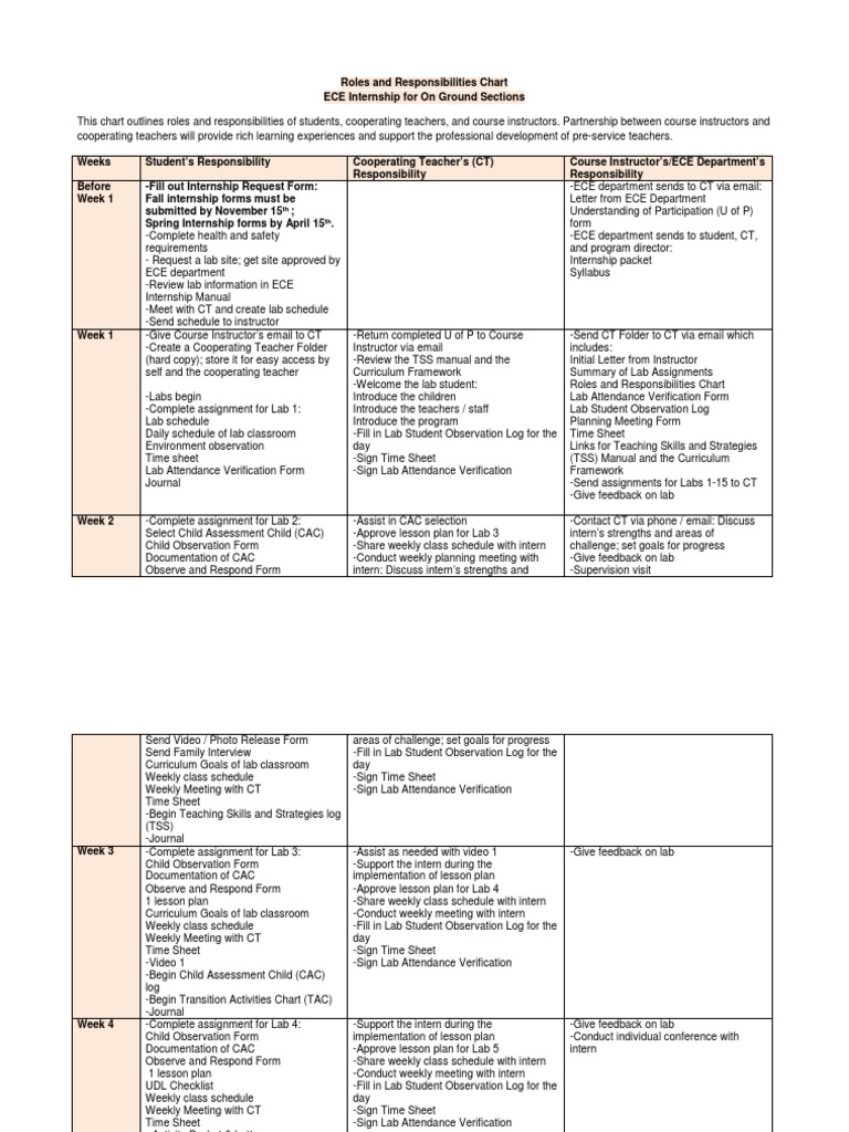 ECE Internship Roles and Responsibilities | PDF | Lesson Plan | Internship