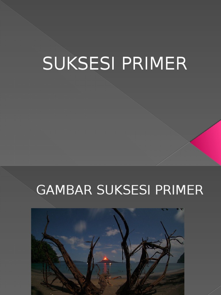 Suksesi Primer | PDF