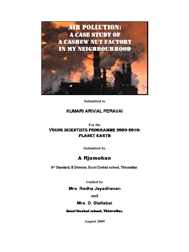 Project Report on Air Pollution | Occupational Safety And Health ...