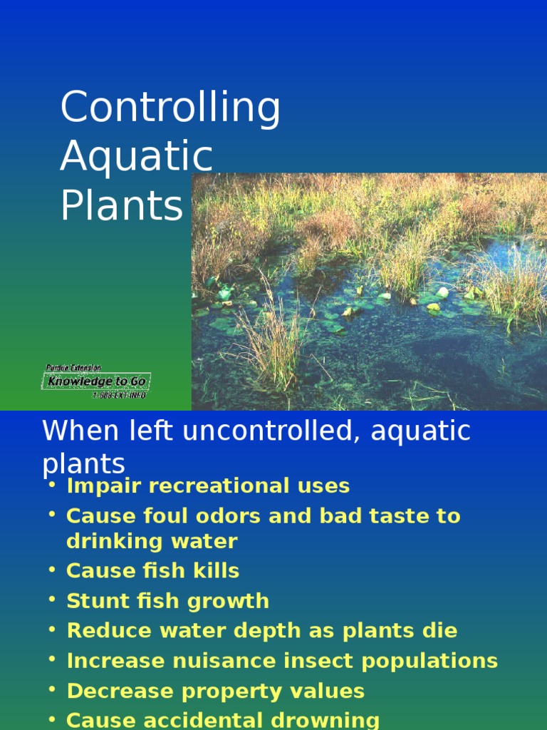 Aquatic Plant | PDF | Natural Resources Conservation Service | Plants