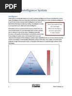 Salute Report | PDF | History