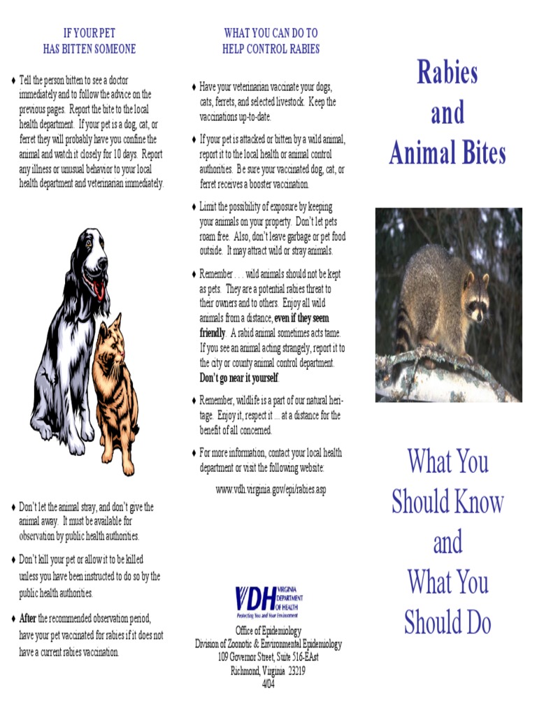 Rabies Facts | PDF | Rabies | Microbiology