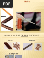 Hair Scale Patterns Lab Guide | PDF | Home & Garden