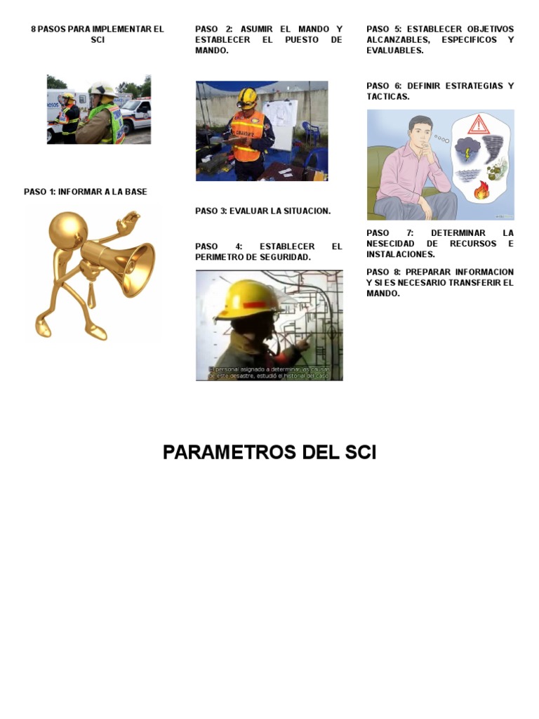 8 Pasos para Implementar El Sci | PDF