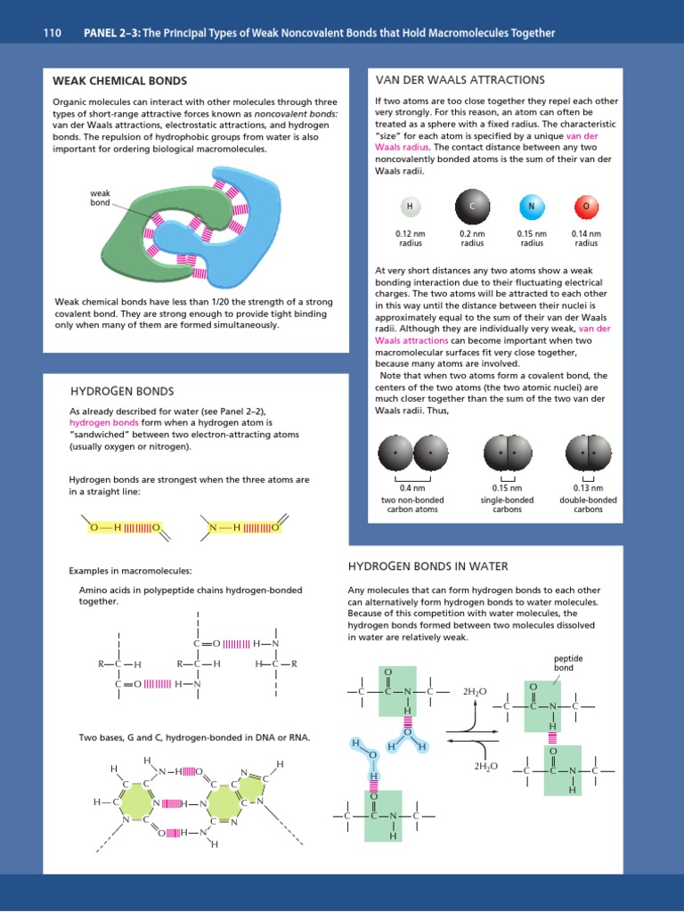 Weak Chemical Bonds | Hydrogen Bond | Chemical Bond