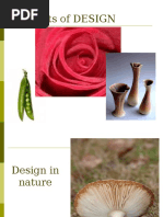 Magazine Layout by Randy Torrecampo | PDF | Typography | Typefaces