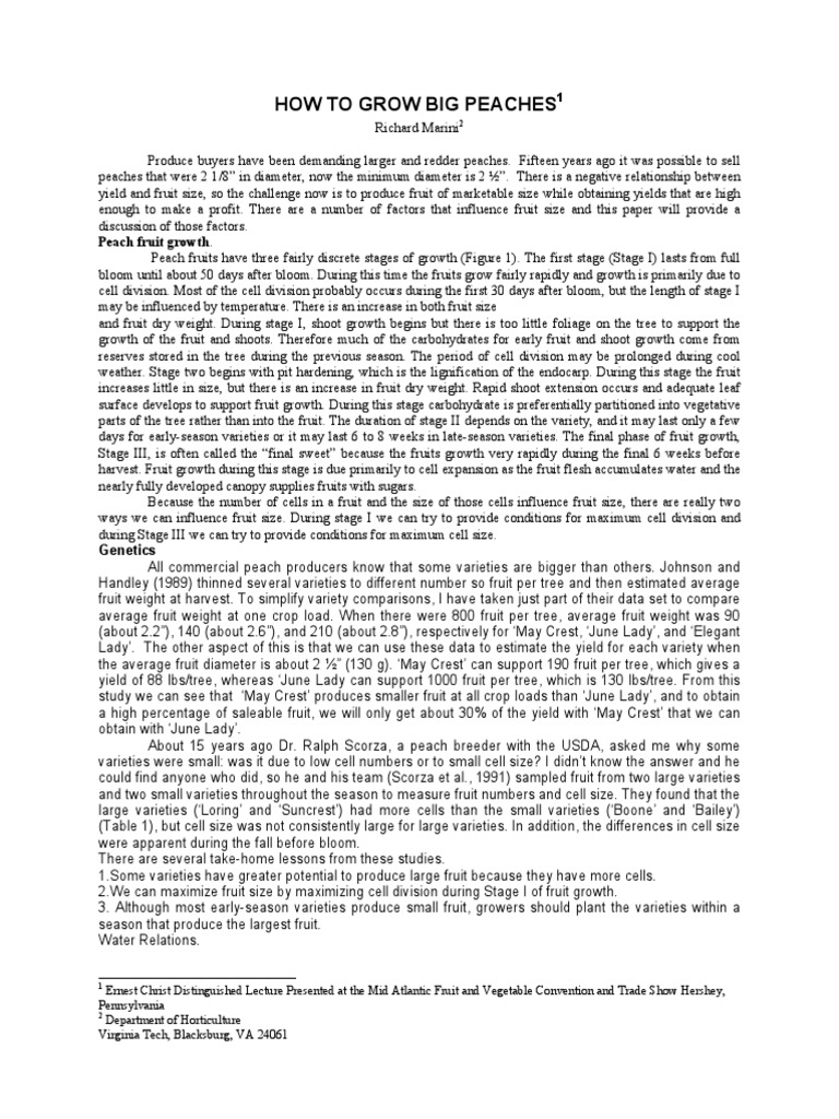 How To Grow Big Peaches | PDF | Plant Nutrition | Pruning