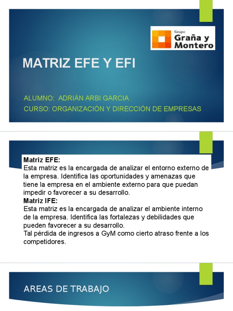 Matriz Efe y Efi | PDF | Marketing | Planificación