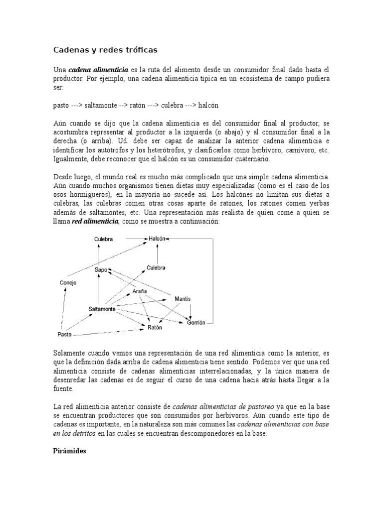 Cadenas y Redes Tróficas | PDF | Red alimentaria | lago