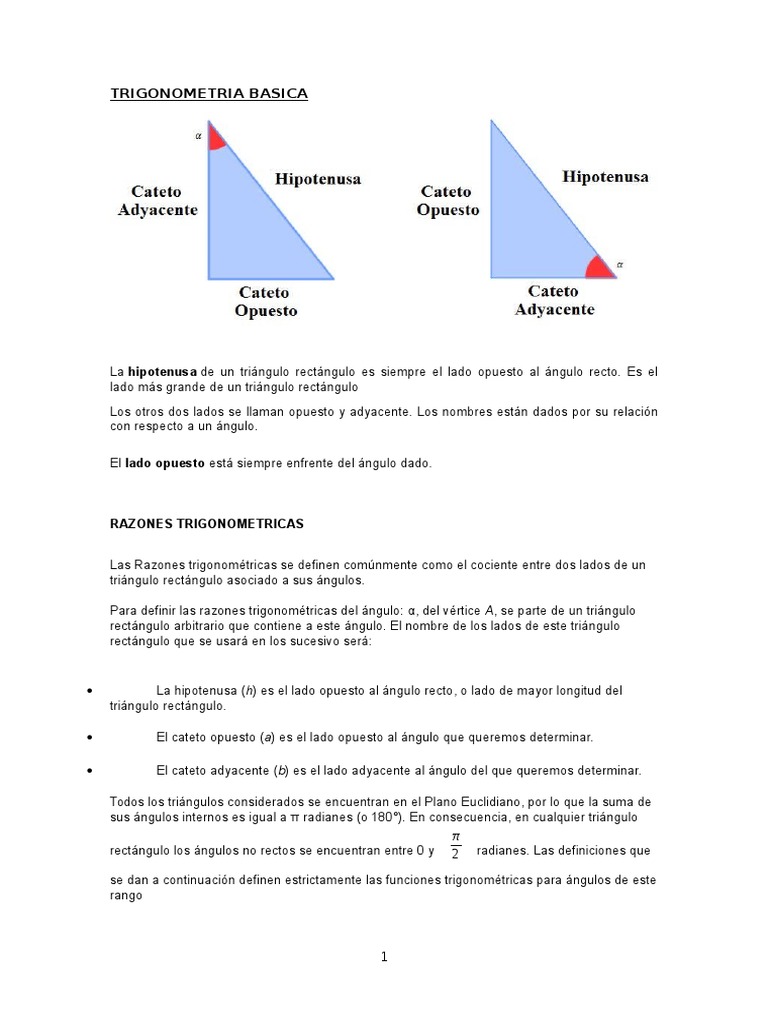 Trigonometria Basica | PDF | Triángulo | Funciones trigonométricas
