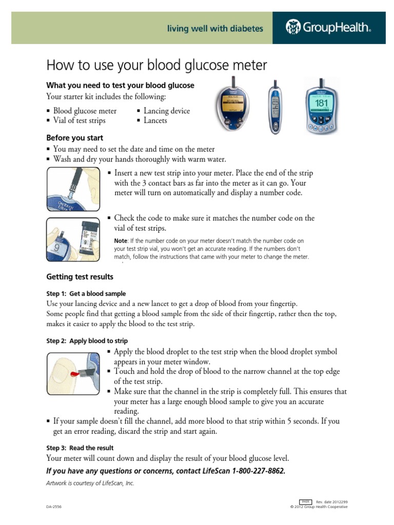 Blood Glucose Meter | PDF