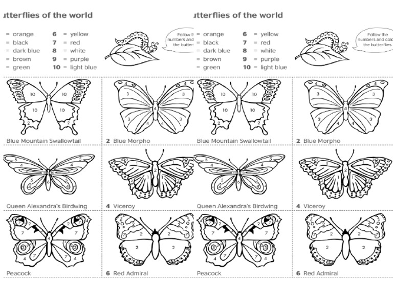 Butterflies of The World | PDF