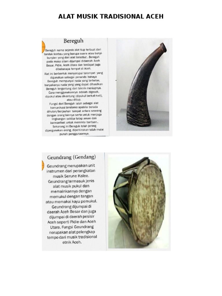 Alat Musik Tradisional Aceh - Bangsi Alas | PDF