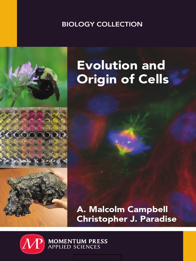 Evolution and Origin of Cells | PDF | Natural Selection | Life