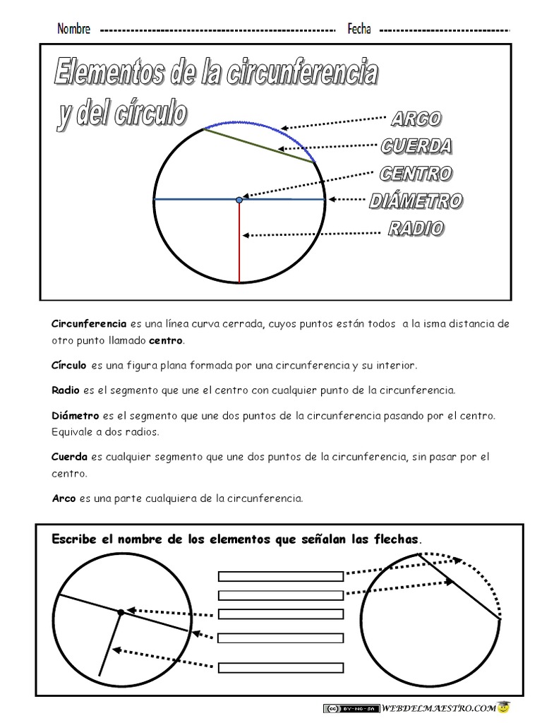 Elementos del Círculo y Circunferencia | PDF