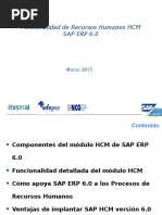 Manual SAP HCM: Guía de Usuario y Soporte | PDF | Bancos