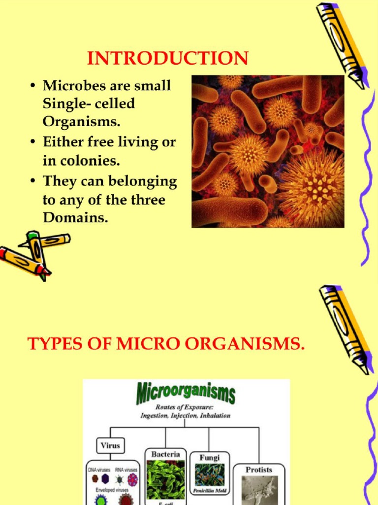 Branches & Clasification of Microbiology | Microbiology | Microorganism