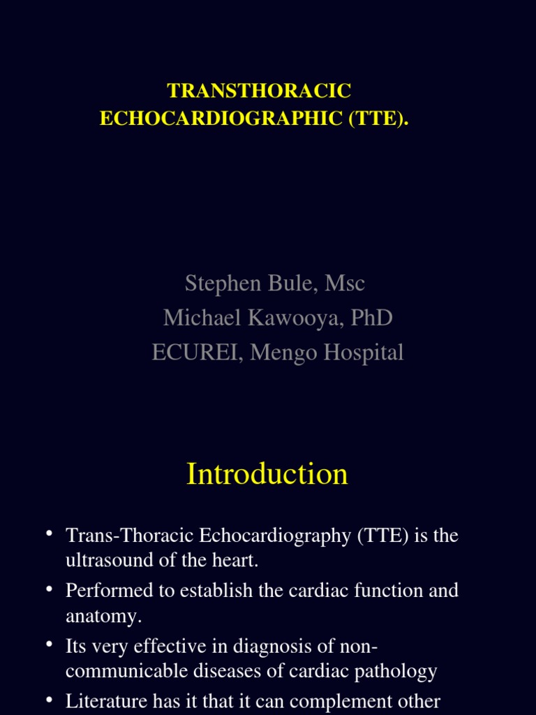 Transthoracic Echocardiographic (Tte) .: Stephen Bule, MSC Michael ...