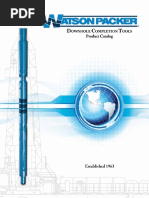 SLB Packer Catalog PDF | PDF | Casing (Borehole) | Drilling Rig