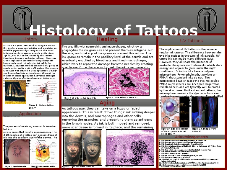 Histological Insights on Tattoos | PDF | Tattoo | Ink