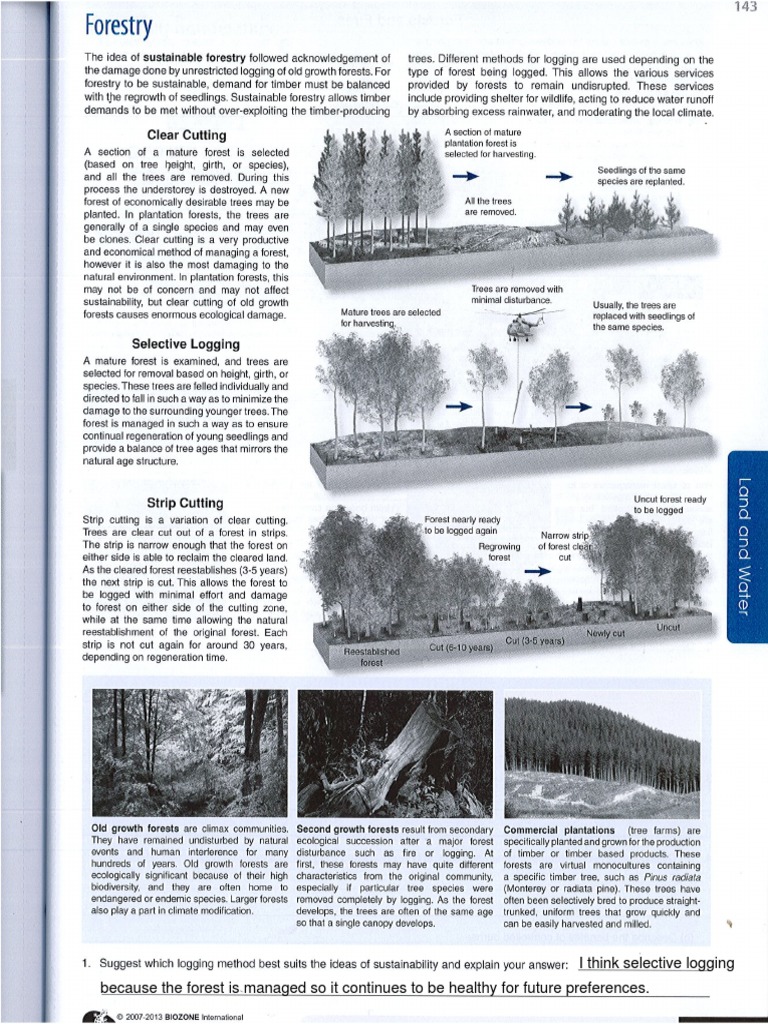 Benefits of Selective Logging | PDF