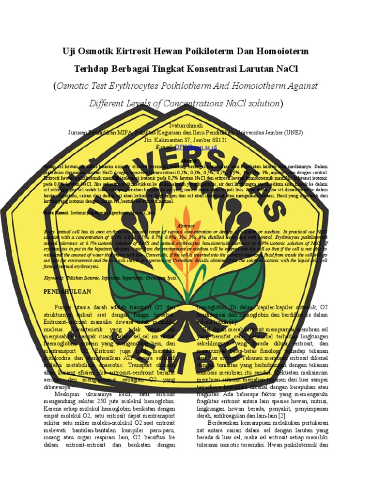 Laporan Fiswan | PDF