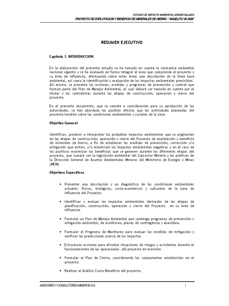 Resumen - Ejecutivo EIA | PDF | Andes | Minería