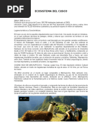 Cusco: Capital Arqueológica del Perú | PDF | Imperio Inca