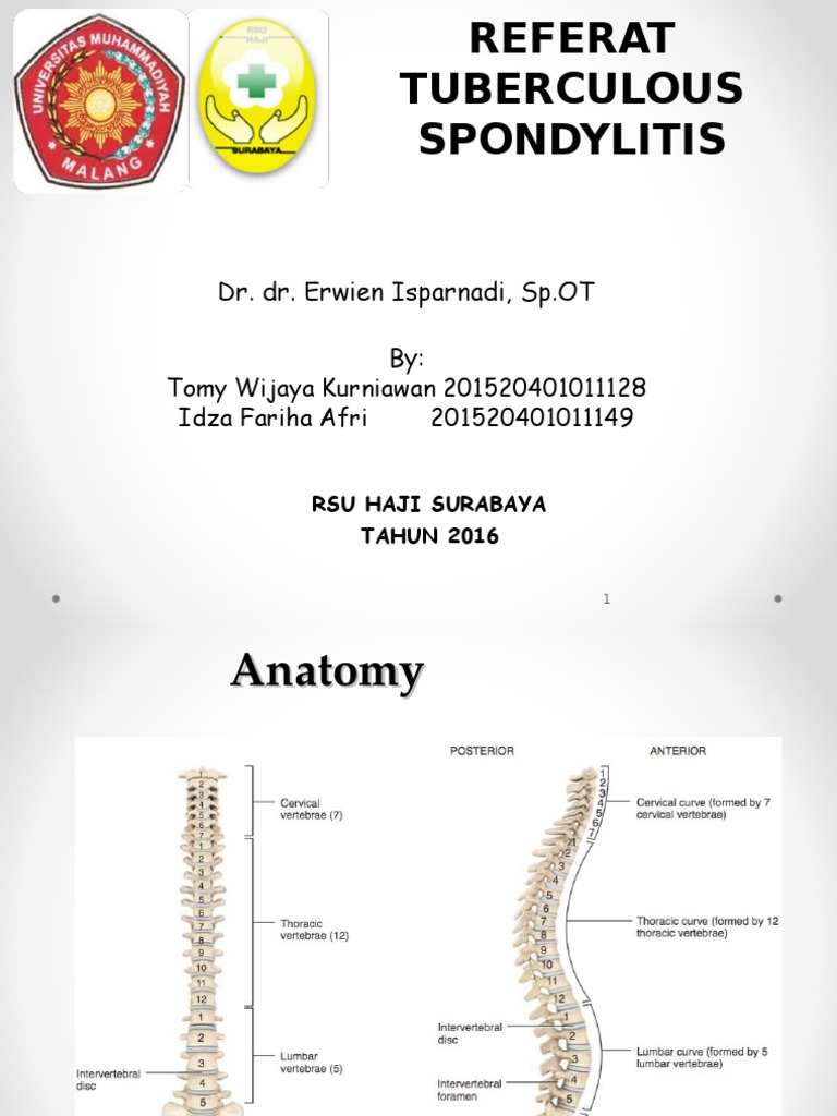 Spondilitis TB | PDF | Tuberculosis | Epidemiology