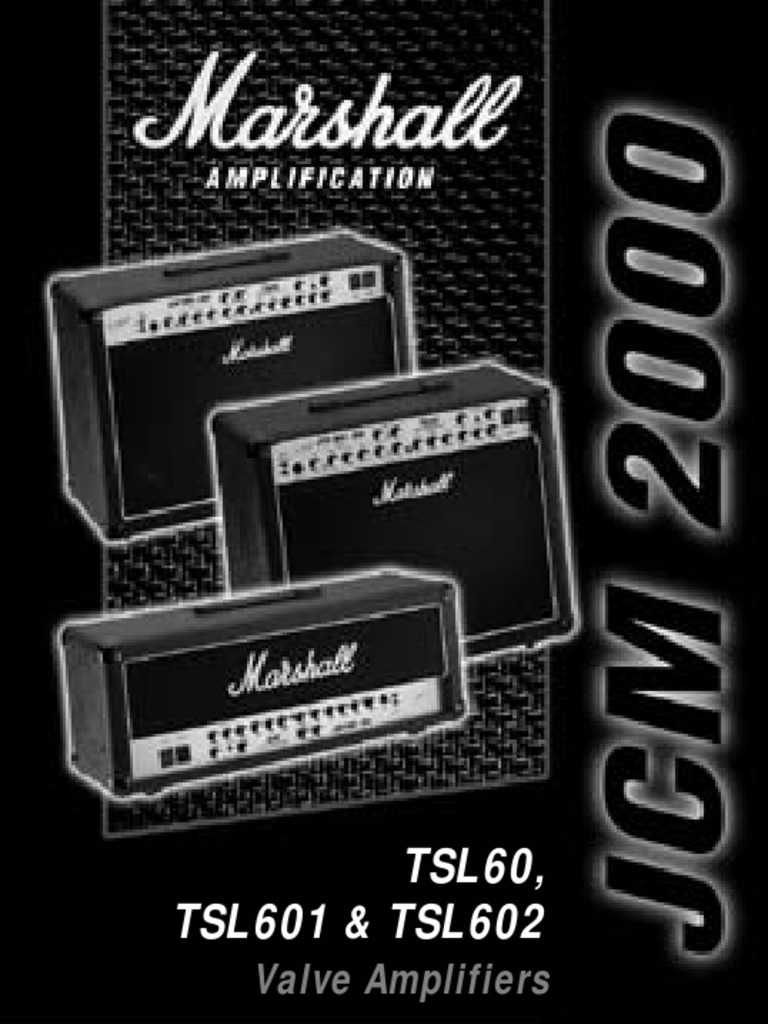 TSL 60 TSL 601 TSL 602: Valve Amplifiers | PDF | Loudspeaker | Amplifier