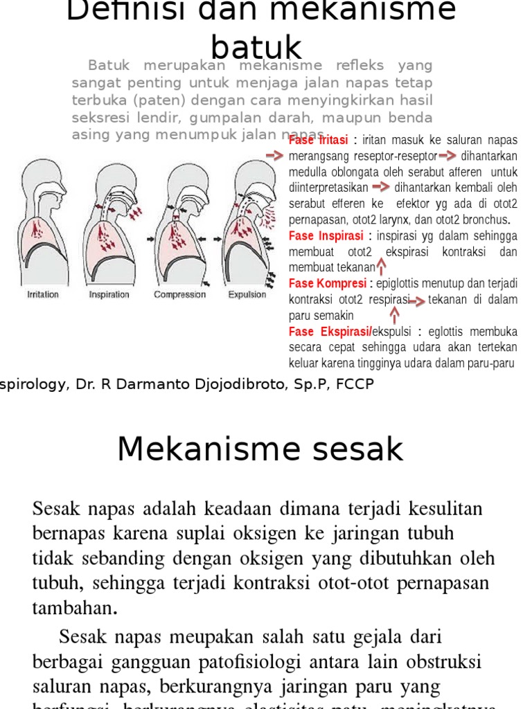 Definisi Dan Mekanisme Batuk | PDF