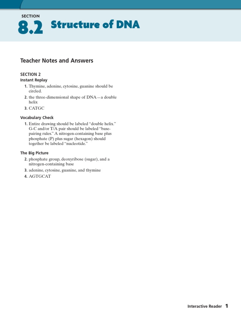 Structure of DNA: Teacher Notes and Answers | PDF | Dna | Nucleotides