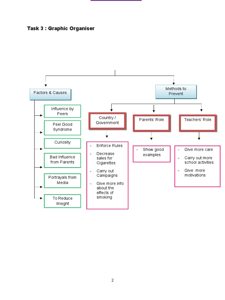 Graphic Organiser | PDF | Social Science