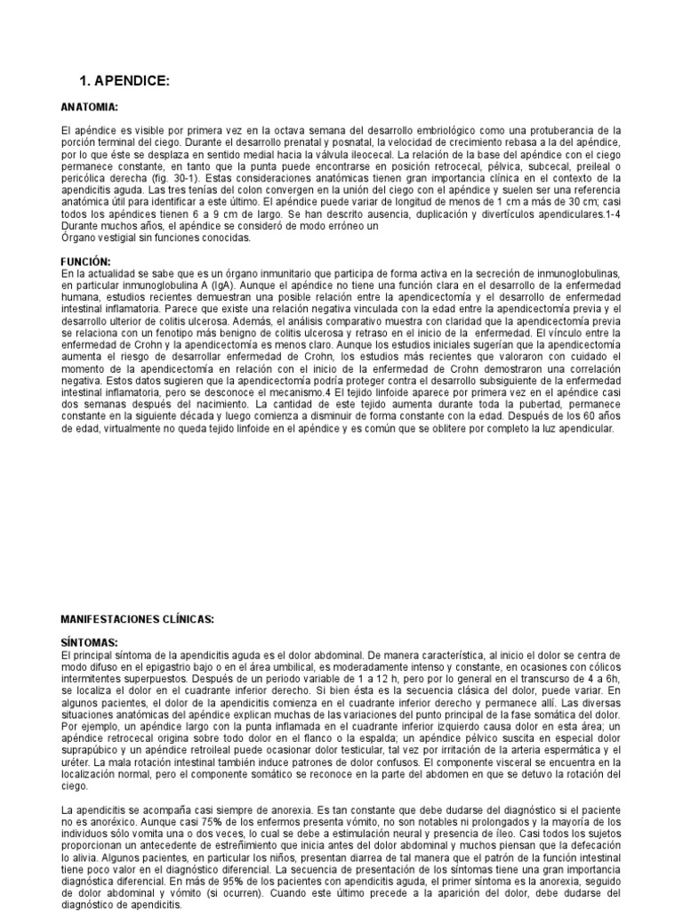 Anatomía, función e importancia clínica del apéndice | PDF ...