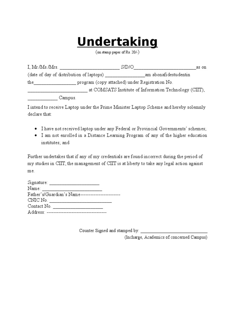 Undertaking | PDF